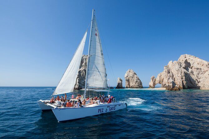 Catamaran Snorkel at Los Cabos! Gorgeous Snorkel & Party + Round Transportation - FAQs