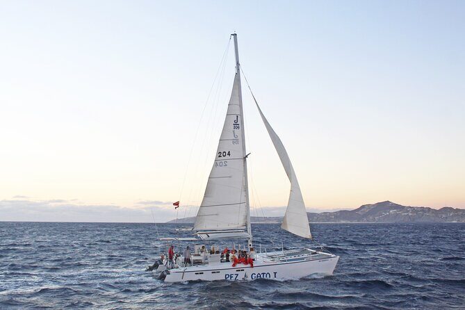 Catamaran Snorkel at Los Cabos! Gorgeous Snorkel & Party + Round Transportation - Final Thoughts