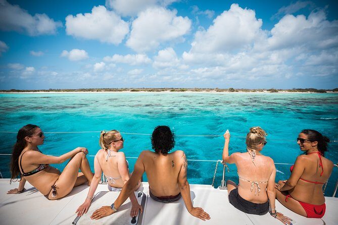 Catamaran Snorkel & BBQ Sail (cruise friendly) - The Experience: Why It Excels