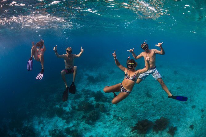 Catamaran Snorkel & BBQ Sail (cruise friendly) - Who Will Love This Tour?