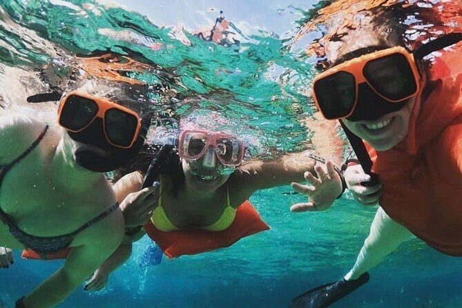 Catamaran Snorkel & Beach Day with Turtles - Key Points