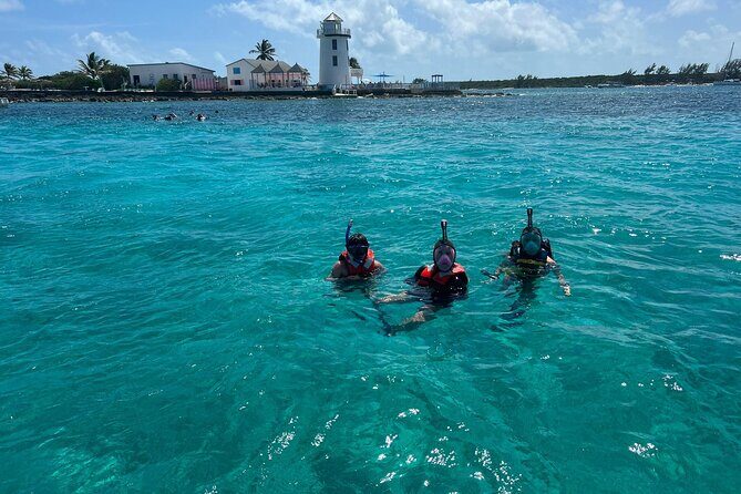 Catamaran Snorkel & Beach Day with Turtles - An In-Depth Look at the Tour Experience