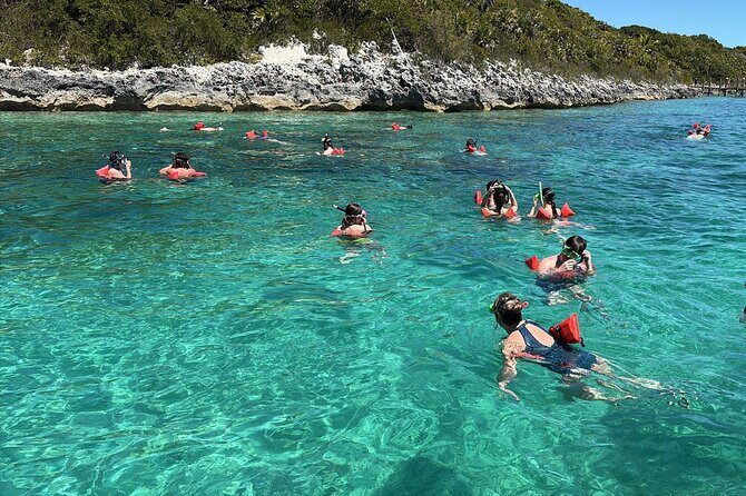 Catamaran Snorkel & Beach Day with Turtles - The Candid Review Summary