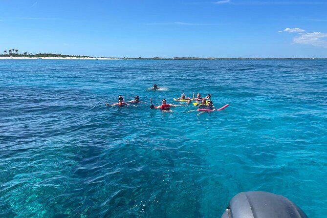 Catamaran Snorkel & Beach Day with Turtles - The Sum Up: Is This Tour Right for You?