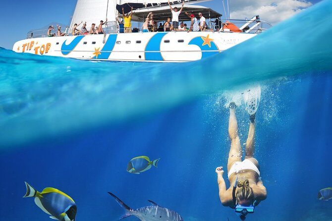 Catamaran Snorkeling All-Inclusive Day-Trip - Key Points
