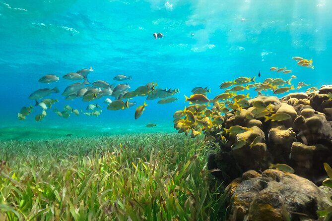 Catamaran Snorkeling and Lunch Tour to Isla Mujeres Included - Exploring Isla Mujeres