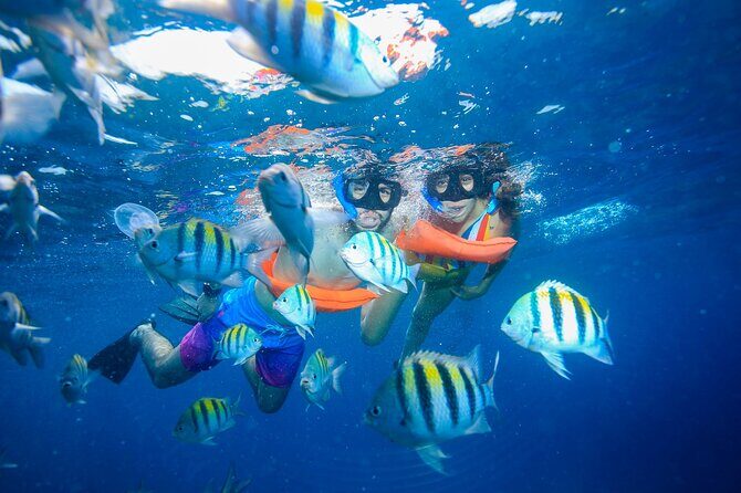Catamaran Snorkeling Tour from Cancun with Buffet Lunch - Final Thoughts on Value and Experience