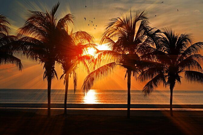 Catamaran to Isla Mujeres at sunset pick up Cancun - The Experience: What to Expect