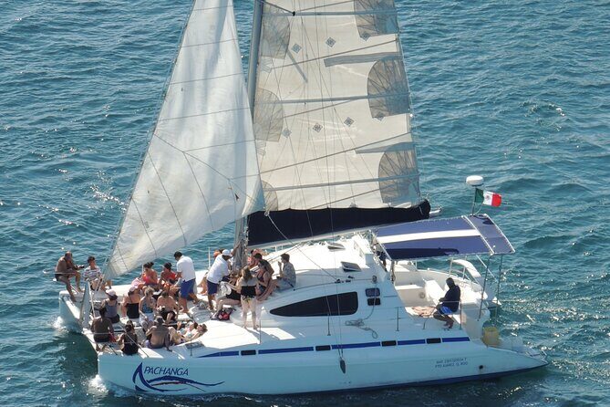 Catamaran to Isla Mujeres: Snorkel MUSA, Playa Norte & Buffet - The Experience in Detail