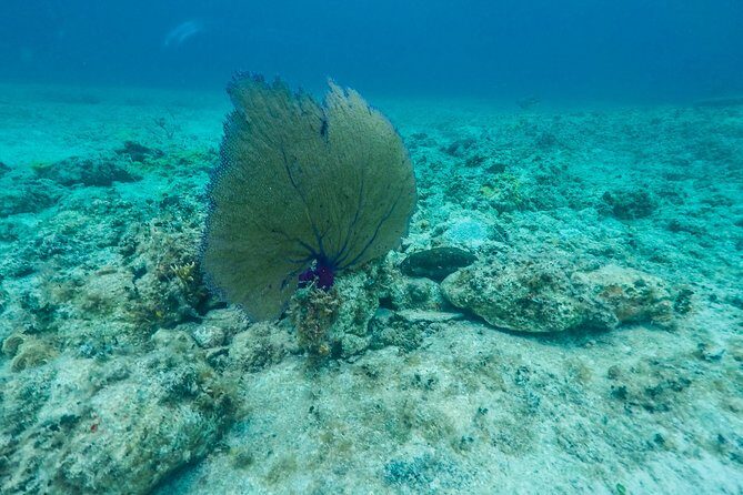 Catamaran to Mujeres Island with Open Bar on Board from Cancun - FAQs