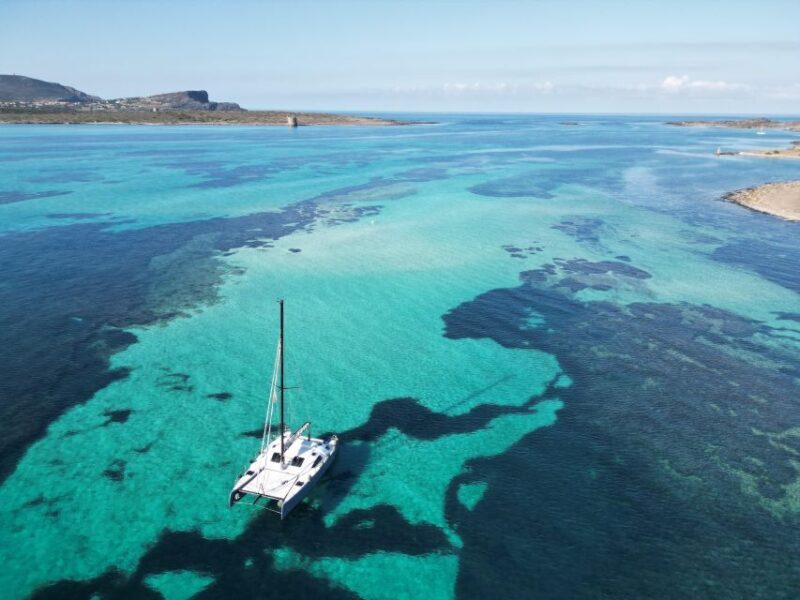 Catamaran tour Asinara island national park Buriana Charter - An Honest Look at the Catamaran Tour to Asinara