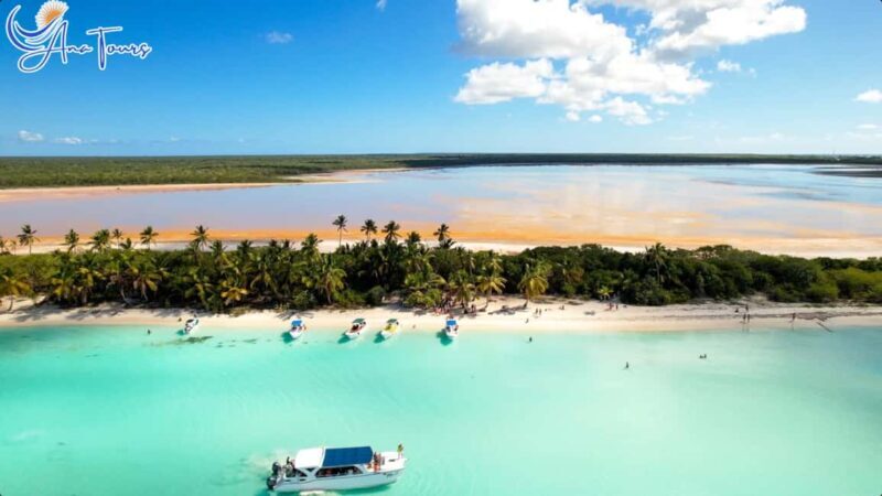 Catamaran Tour to Saona Island with Tropical Buffet Lunch - Is It Worth the Price?