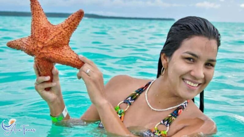 Catamaran Tour to Saona Island with Tropical Buffet Lunch - Who Should Consider This Tour?