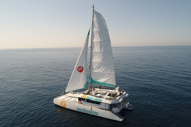 Catamaran tour with swimming stop in Malaga - Key Points