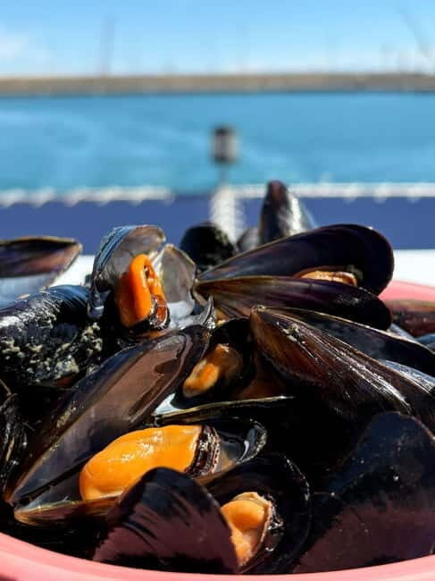 Catamaran trip and visit to the mussel nurseries with a snack - A Scenic Sea Adventure Paired with Culinary Delights