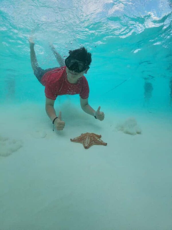 Catamaran with a slide in Cozumel  El Cielo, Cielito, and Palancar Reef - Price and Value Considerations