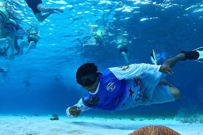 Catamaran with Slide in Cozumel Reef Snorkeling Experience - What to Expect from This Cozumel Snorkeling Tour