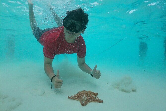 Catamaran with Slide in Cozumel Reef Snorkeling Experience - FAQs