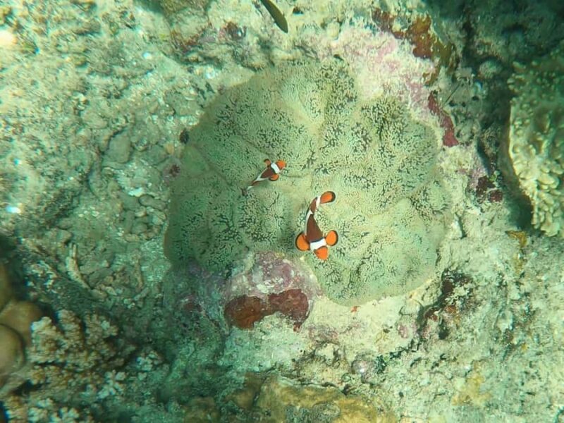 Catanduanes in 3 days: Koh-Lanta spirit, local fishing, and a secret beach - Final Thoughts