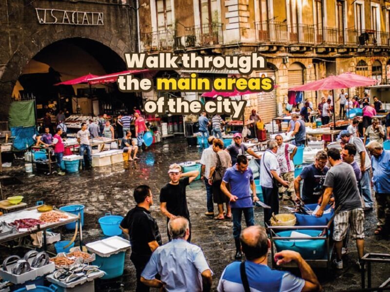 Catania: Digital guide made with a Local for your tour - Key Points