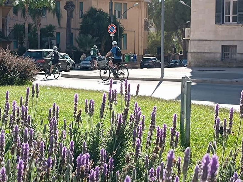 Catania: Electric Bike Rental - Pricing and Value