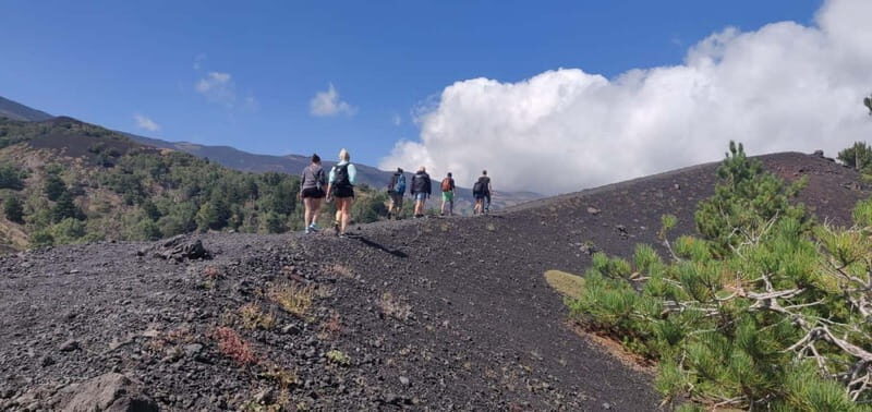 Catania: Etna Full-Day Trekking with Hotel Pickup - Key Points