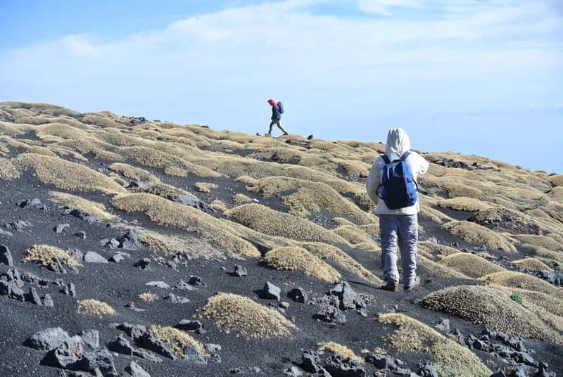 Catania: Etna Full-Day Trekking with Hotel Pickup - Practical Details and What to Expect