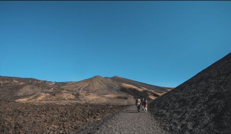 Catania: Etna Morning Excursion with Tasting and Pickup - Key Points