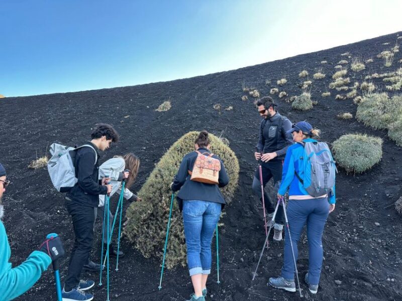 Catania: Etna Morning or Sunset Trek with Lava Tunnel & Gear - Final Thoughts