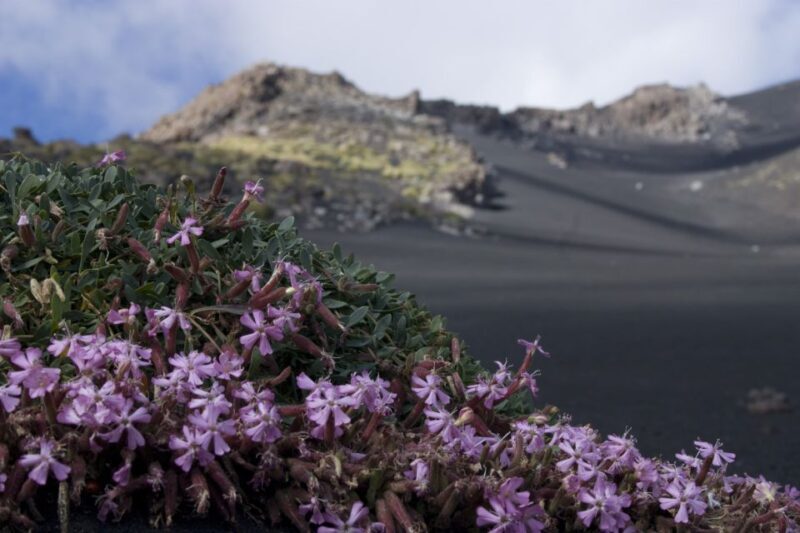 Catania: Etna Morning or Sunset Trek with Lava Tunnel & Gear - Frequently Asked Questions