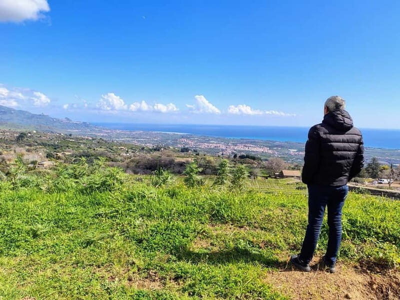 Catania: Etna South Wine & Sicilian Delights Tour - Key Points