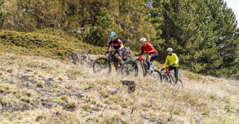 Catania: Full Circuit of Etna in MTB - An in-Depth Look at the Circuit