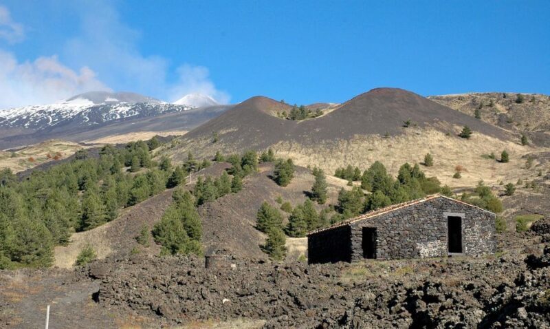 Catania: Full Circuit of Etna in MTB - What to Expect on the Day
