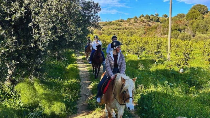 Catania: Guided Horseback Ride in Misterbianco Countryside - An Authentic Taste of Sicily’s Countryside
