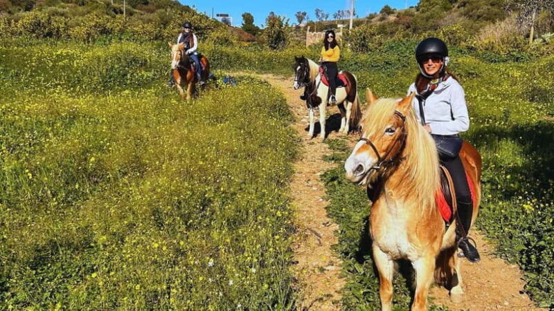 Catania: Guided Horseback Ride in Misterbianco Countryside - The Ride: What to Expect and What You’ll Experience