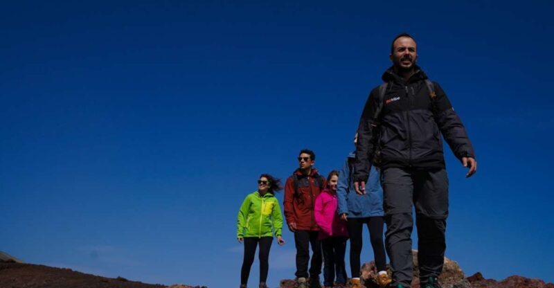 Catania: Guided Tour of Etna with Farm Visit & Food Tasting - Key Points