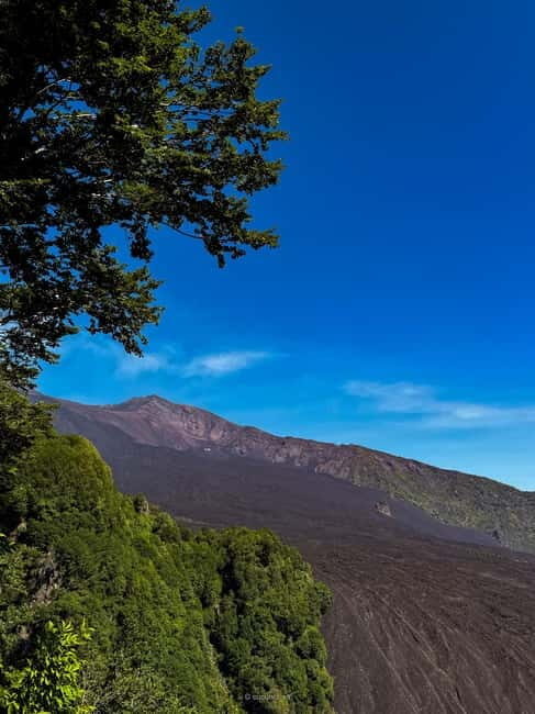 Catania: Mount Etna and Alcantara River Guided Tour - Exploring Sicily’s Volcanic Heart: What This Tour Offers
