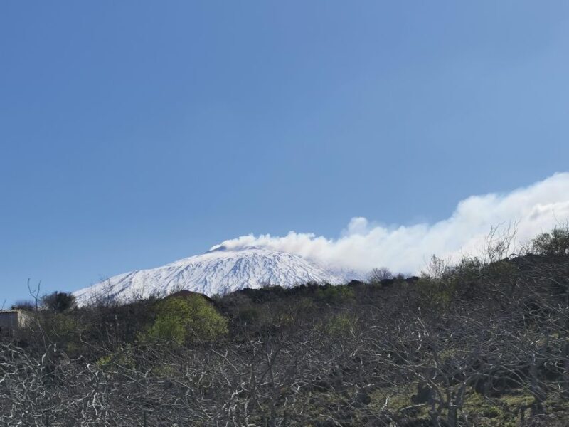 Catania: Mount Etna & Cyclopean Scuba Diving Experience - Exploring Mount Etna: A Geology and Nature Walk