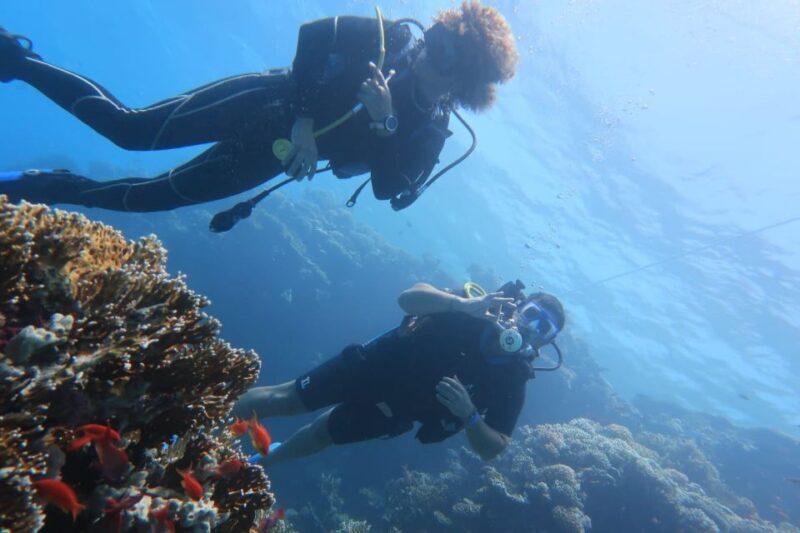Catania: Mount Etna & Cyclopean Scuba Diving Experience - Practical Details and What to Expect