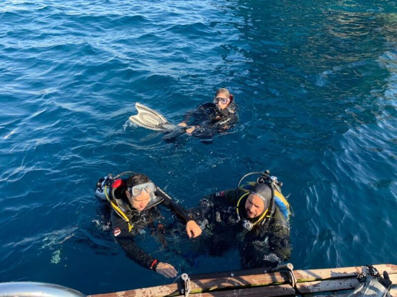 Catania: Mount Etna & Cyclopean Scuba Diving Experience - Authentic Experiences & Traveler Feedback