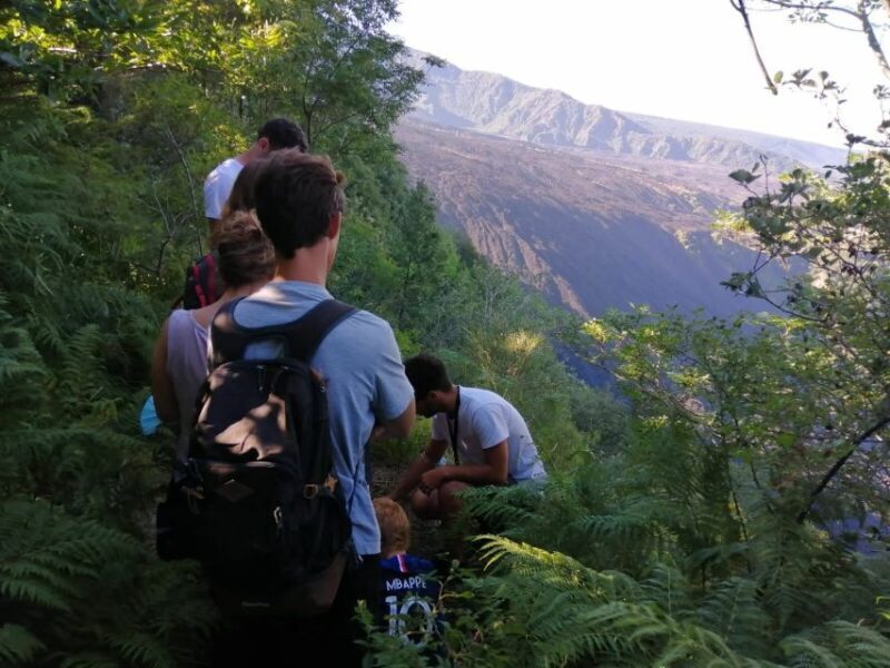 Catania: Mount Etna Sunset Jeep/Van Tour - The Practical Side: Logistics & Value