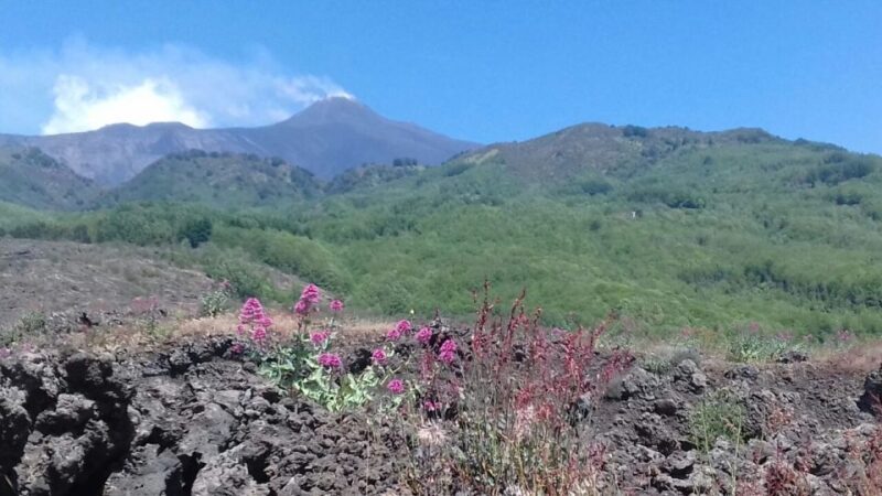 Catania: Mount Etna Sunset Tour and Etna Doc Wine - What Travelers Say
