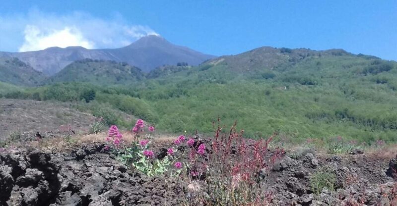Catania: Mount Etna Sunset Tour and Etna Doc Wine - FAQ