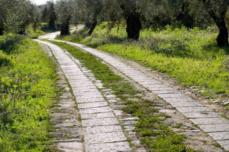 Catania: Pozzo di Gaspare Farm Guided Tour with Tastings - An Introduction to Pozzo di Gaspare and Its Heritage