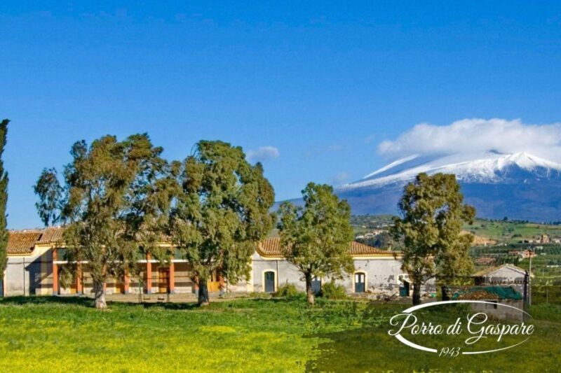 Catania: Pozzo di Gaspare Farm Guided Tour with Tastings - Price, Value, and Practical Tips