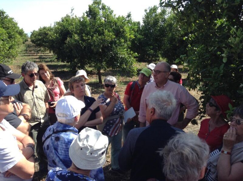 Catania: Pozzo di Gaspare Farm Guided Tour with Tastings - The Reviews: Authentic Voices