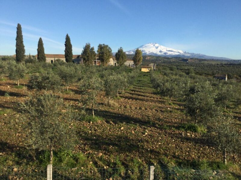 Catania: Pozzo di Gaspare Farm Guided Tour with Tastings - Who Will Love This Tour?