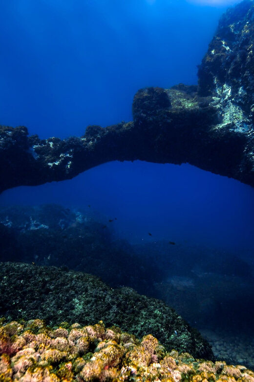 Catania: Scuba Diving Experience - Key Points