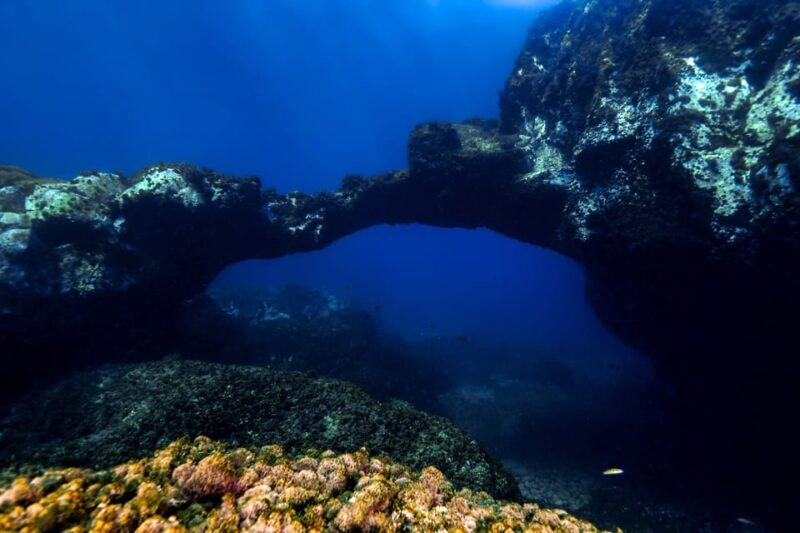 Catania: Scuba Diving Experience - What Do We Love?