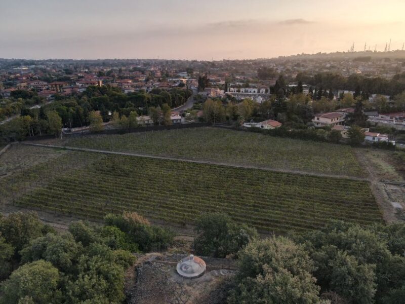 Catania: Sicilian Lunch at Winery with Wine Tasting - Frequently Asked Questions